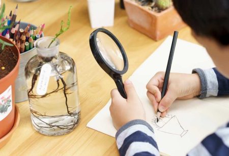 Desenho observacional para pré-escolares e crianças para melhorar as ...