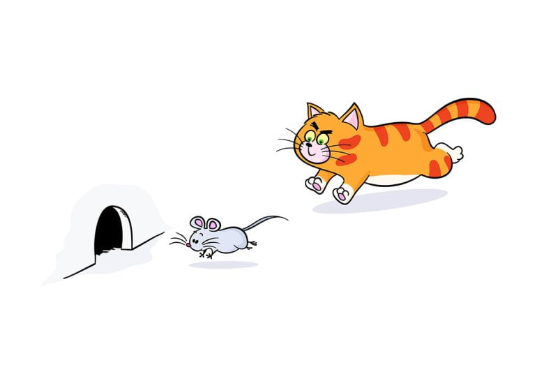 A história do gato e do rato com moral para crianças - Cetro Concursos